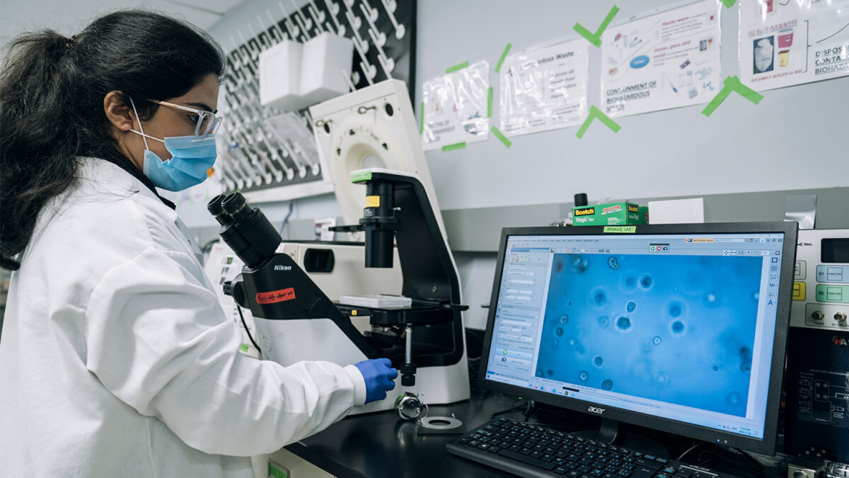 McMaster researchers return to labs in safe, phased approach – Faculty ...