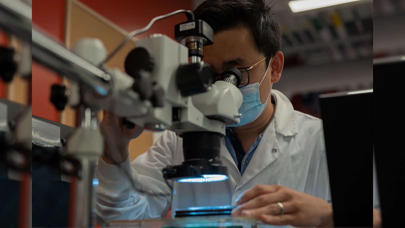 In the media: New bioengineered lung model could help scientists to ...