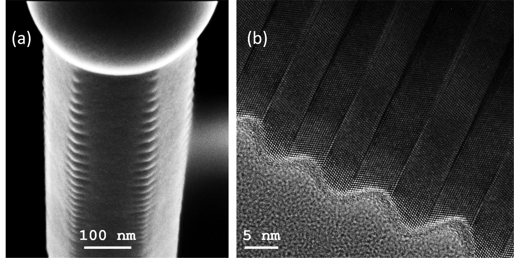Dr. Ray LaPierre – Faculty of Engineering