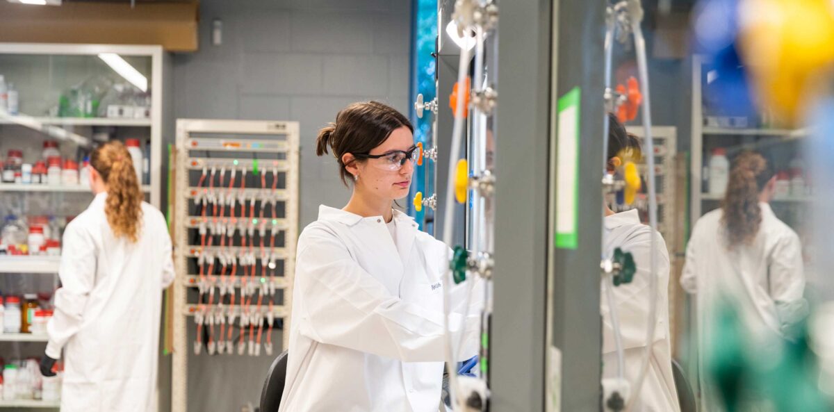 Courses – Faculty of Engineering