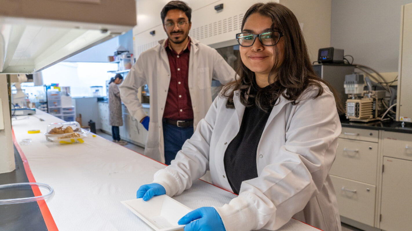 McMaster School of Biomedical Engineering – Faculty of Engineering