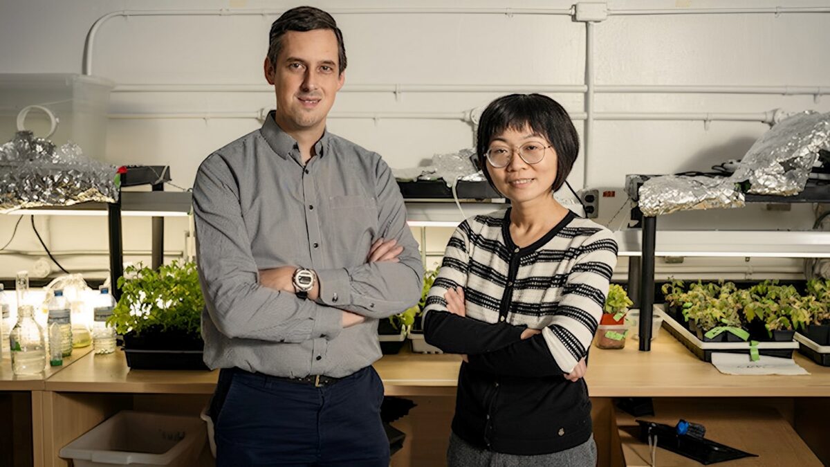 Celebrating Mac Eng leaders in sustainability – Faculty of Engineering