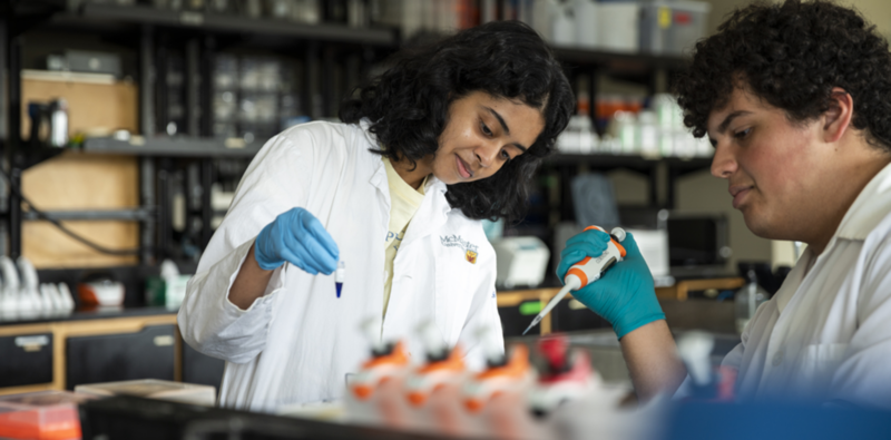 Research – Faculty of Engineering