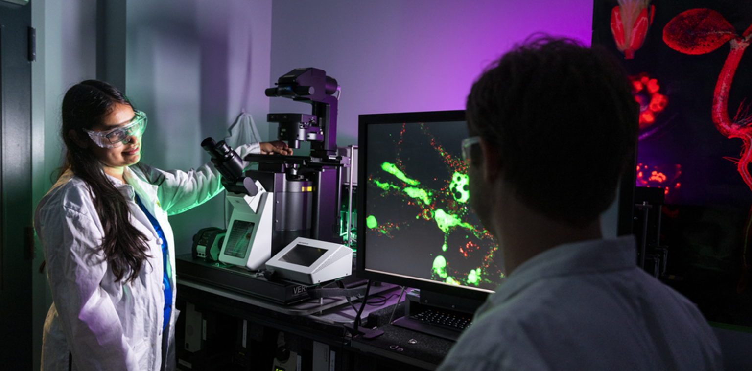 Programs & degrees – Faculty of Engineering