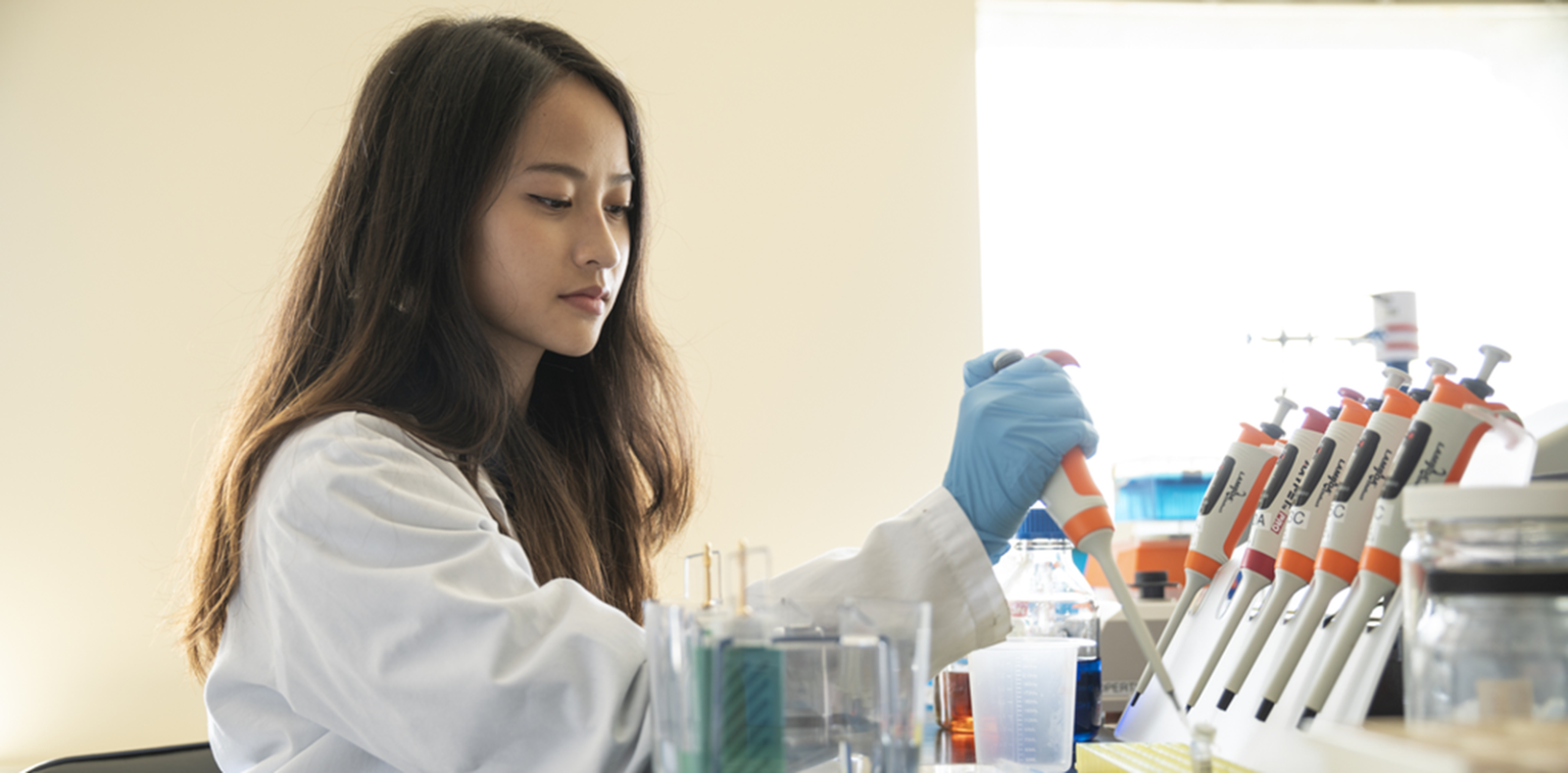 iBioMed courses – Faculty of Engineering