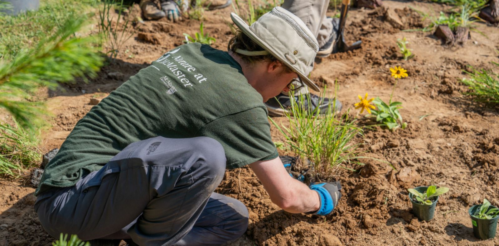 New nesting garden to help boost population of native bees – Faculty of ...